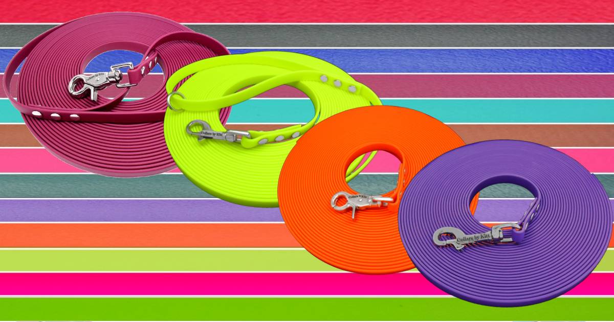 Biothane Leash or Long Line Tracking Lead ~ 5/8" - Collars by Kitt