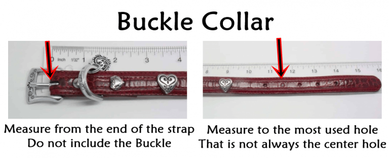 measuring-help-buckle - Collars by Kitt
