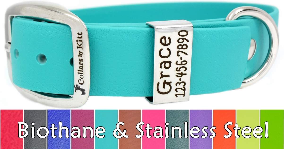 Biothane ID Collar 1" - Collars by Kitt