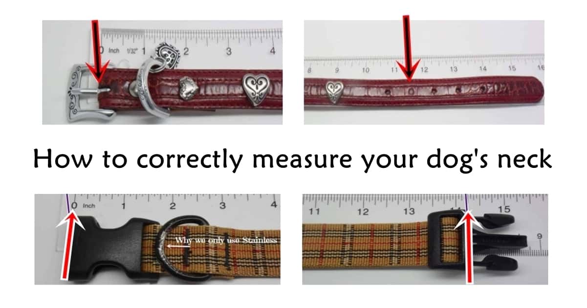 How To Measure - Collars by Kitt