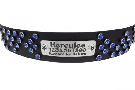 Pinnacle - Collars by Kitt